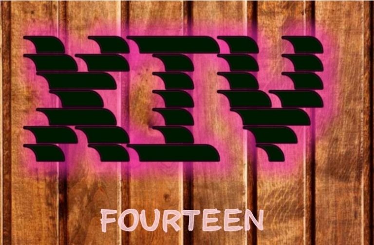 14 In Roman Numerals | How Does The Roman Number 14 Looks